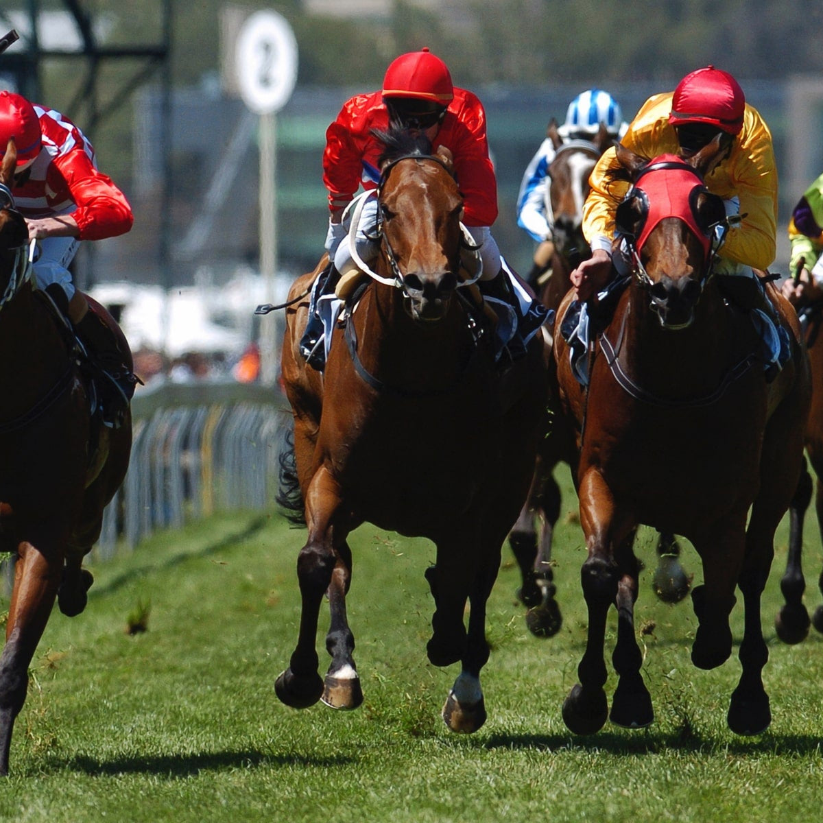 Spring Racing Carnival Men's Fashion – Menzclub